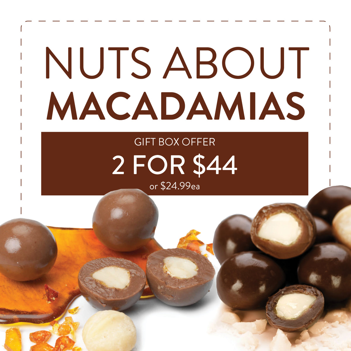 Macadamia Gift Boxes — Chocolate Box