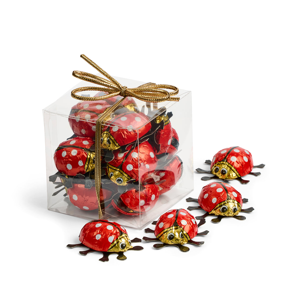 Ladybird in Cube 100g — Chocolate Box